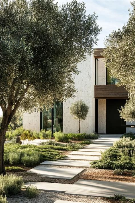 Modern Californian House Mediterranean Style Front Yard With Olive