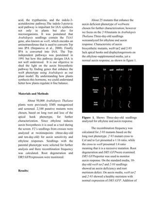 Characterizing Auxin Biosynthetic Mutants In Arabidopsis Thaliana