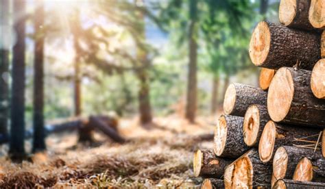 Choolaimedu Chennai Pin Code Number Taluk Tehsil Details And More