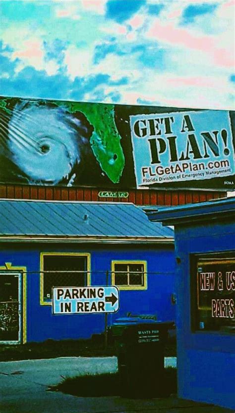 Tree Risk Assessment A Plus Tree Service