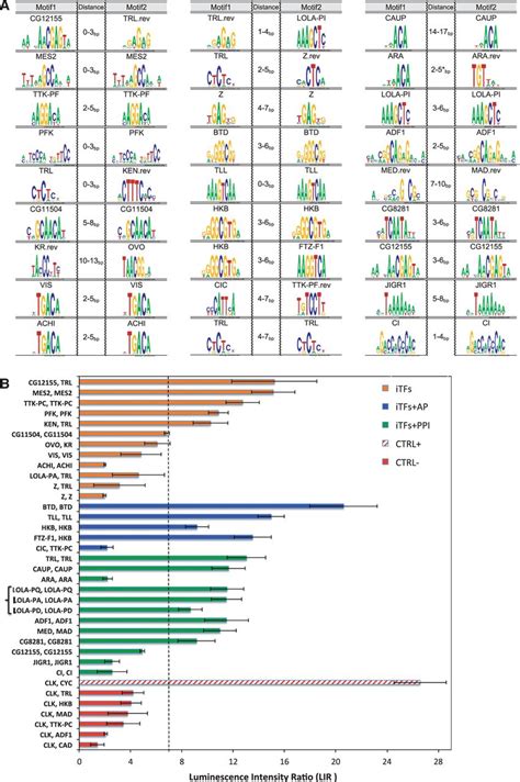 Experimental Validation Of Predicted Tftf Interactions A Predicted