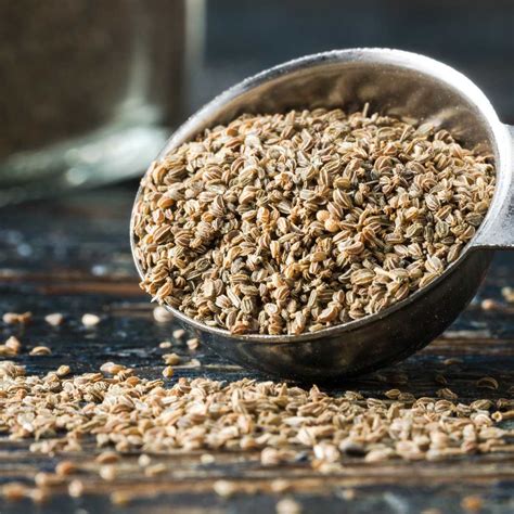 Celery Seed Oil Himoil