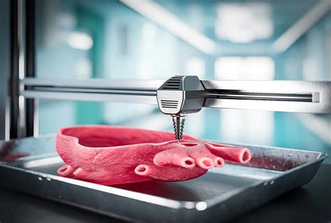 What Is 3D Bioprinting Simply Explained All3DP 54 OFF