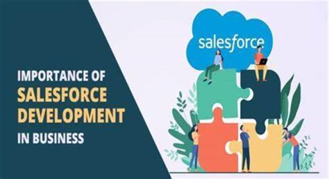 How To Identify Your Needs For Salesforce Custom Development For Business Logic Mount