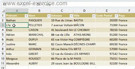 formation excel agrandir masquer lignes et colonnes dans excel