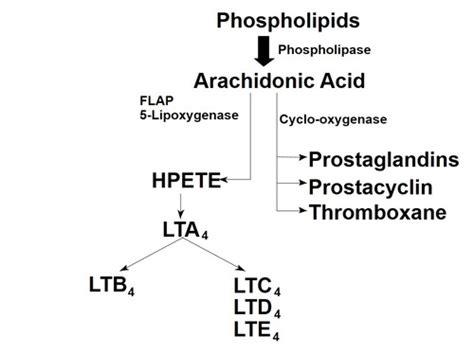 Nsaids Lecture Flashcards Quizlet