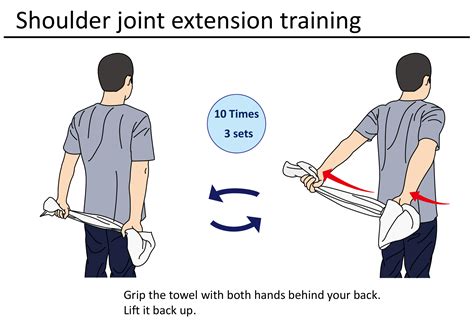 Shoulder Scapular Plane Elevation Physio Visuals Illustrated