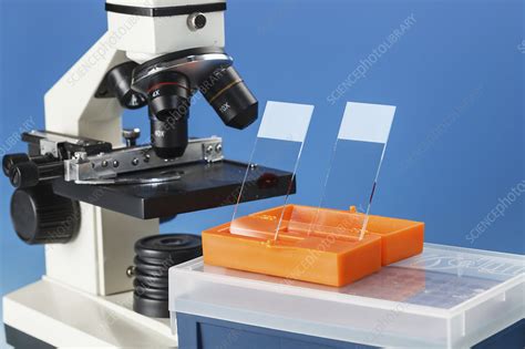 Light Microscope And Slides Stock Image F0214783 Science Photo