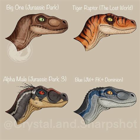 Four Different Types Of Dinosaur Heads