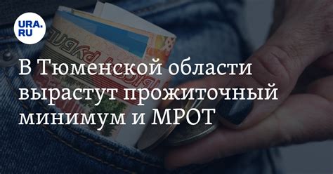 Прожиточный минимум и МРОТ в Тюменской области хотят увеличить размеры индексация
