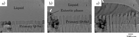 Figure 2 From In Situ Characterization Of Dendrite Tip Radius In Sn
