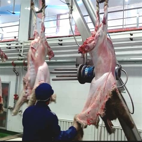Automatic Skin Puller Equipment Meat Processing Goat Abattoir Machine