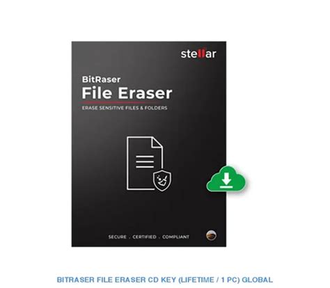 Bitraser File Eraser Cd Key Lifetime 1 Pc Global Digicodes At Rs 1125 New Delhi Id