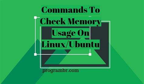 Commands To Check Memory Usage On Linuxubuntu