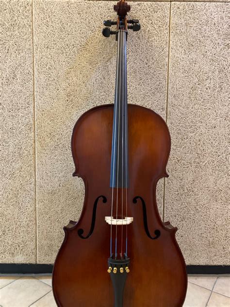 첼로 4 4 사이즈 당근마켓 중고거래
