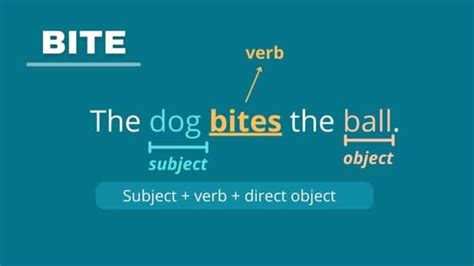 Bit Or Bite Or Bitten Which One Should You Use Capitalize My Title