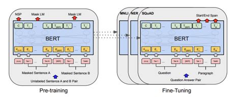 Pytorch Tutorials Image And Video