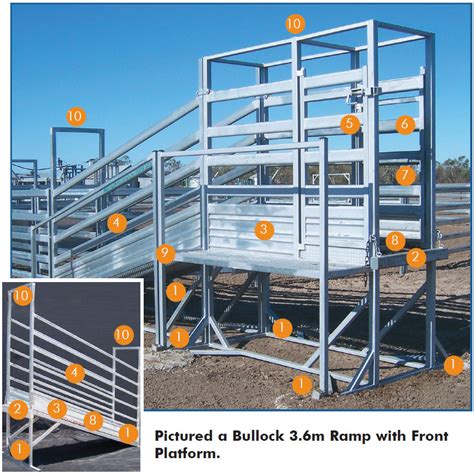 Loading Ramps Concrete Floor - National Stockyard Systems