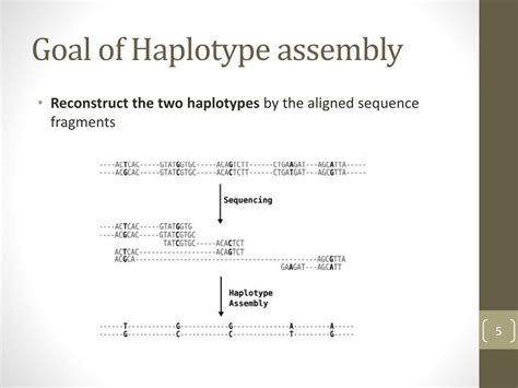 Ppt Hapcompass A Fast Cycle Basis Algorithm For Accurate Haplotype