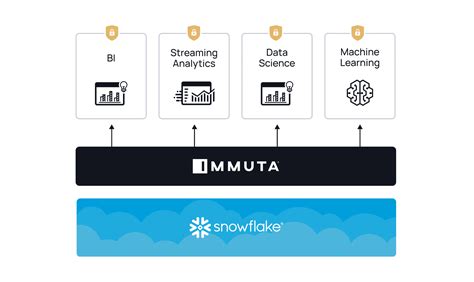 Snowflake Data Security Immuta