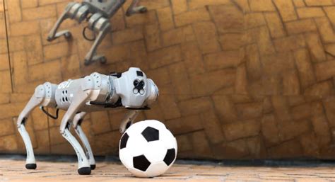 Four Legged Robotic System Developed For Navigating Uneven Terrain