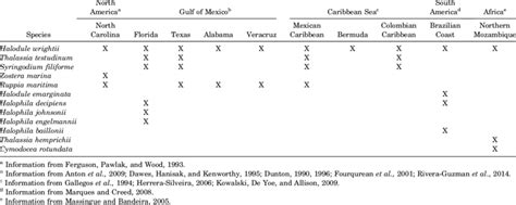 Distribution Of Halodule Wrightii And Its Accompanying Seagrass Species
