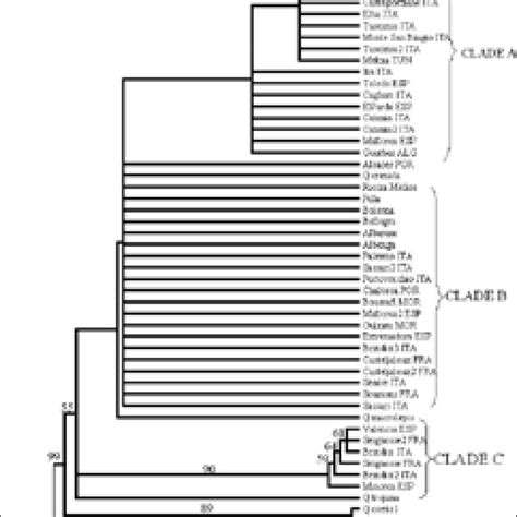 Strict Consensus Tree Of 13320 Maximum Parsimony Trees Four Of The