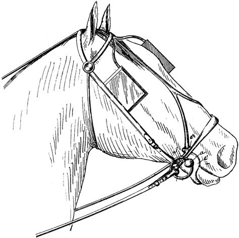 Bridle Bit Clipart Etc