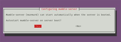 Install Mumble On Debian 10
