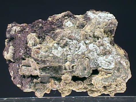 Selenium In Physiology Homeoresearch Com