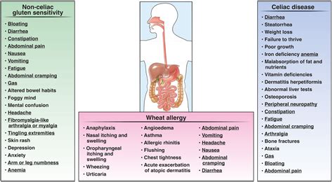 Gluten Related Disorders From Bench To Bedside Clinical