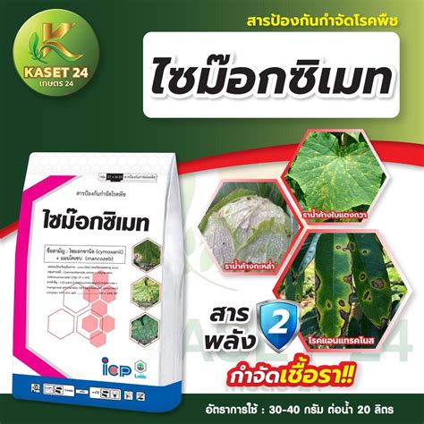 💮ยากำจัดเชื้อรา ไซม๊อกซิเมท ไซมอกซานิล แมนโคเซบ กำจัดเชื้อรา โรครา