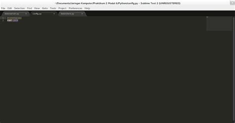Hirueru Blog Contoh Socket Programming Bahasa Python Mengirim Data