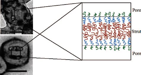 Figure 1 From Nanoparticles With Tunable Internal Structure From