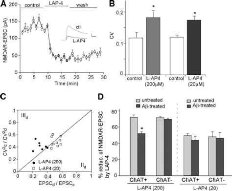 Activation Of Mglur7 Reduced Nmdar Mediated Synaptic Transmission In Bf