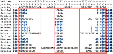The Rna Structure Alignment Ontology
