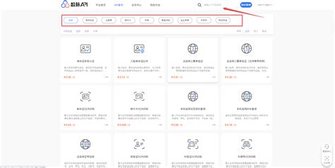 API接入服务 API调用问题文档 数脉APIAPI接口服务商 购买接口
