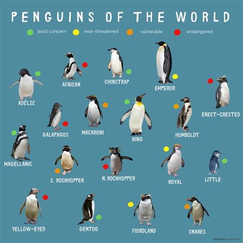 Penguins Are Mammals Penguins Are Not Mammals Miqg
