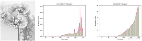 Opencv Python 彩色图片直方图均衡化 Opencv直方图匹配蓝月亮的技术博客51cto博客