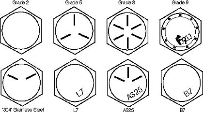 Common Head Markings