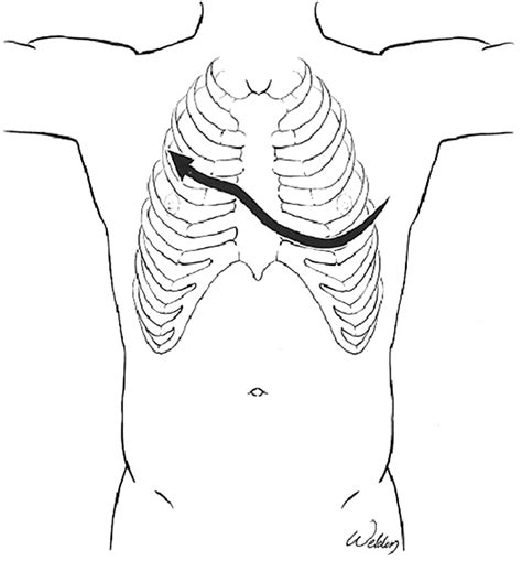 Noncompressible Torso Hemorrhage Surgical Clinics