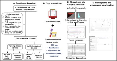 flow diagram of developing predictive nomograms for 5 year graft