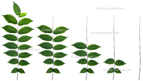 Growing Patterns Growing Number Shape Alphabet Patterns Reducing