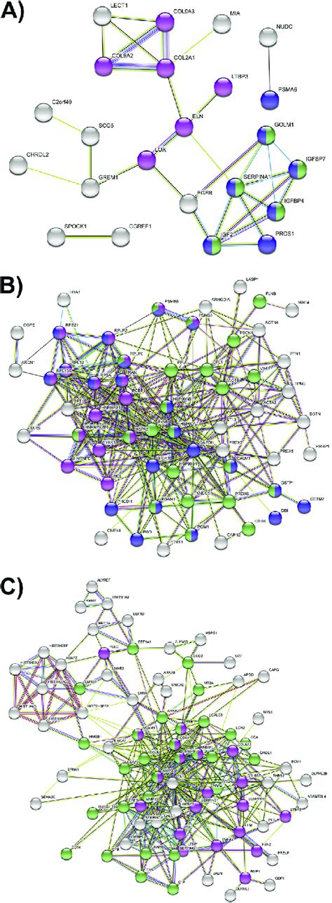 string network analysis plots string network maps of proteins in each
