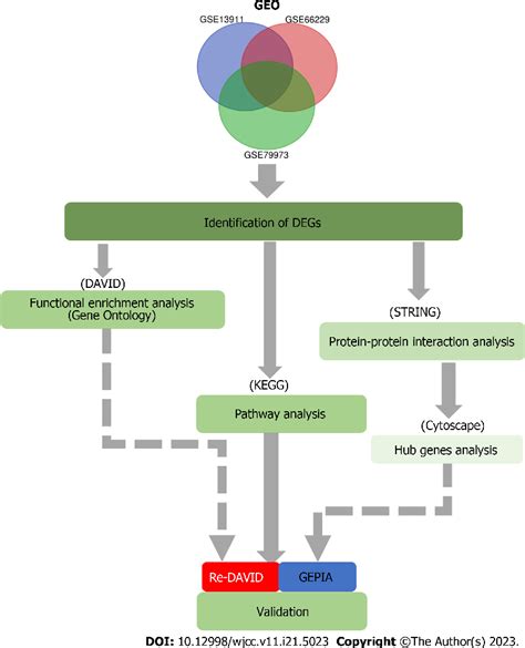 Figure 1 From Identification Of Functional Genes Regulating Gastric