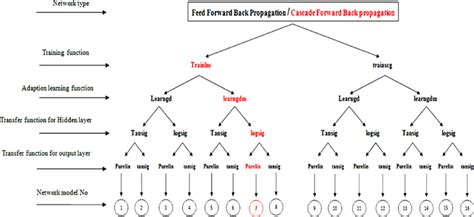 Schema Of The Different Type Algorithm And Function For The Modeling Download Scientific