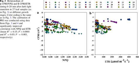 Relationships Of A CPRI NPQ And B CPRI ETR During 020 Min After Download Scientific Diagram