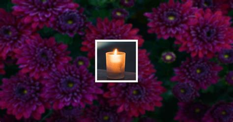 Obituary Galleries Nancy Brooks Brockhaus Funeral Home