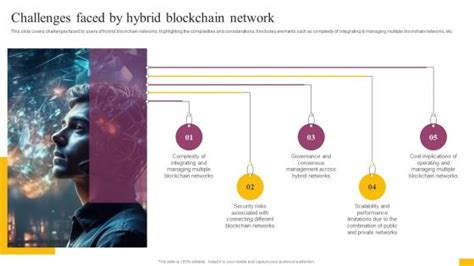 Challenges Faced By Hybrid Blockchain Network Complete Guide To Understand Bct Ss Ppt Presentation