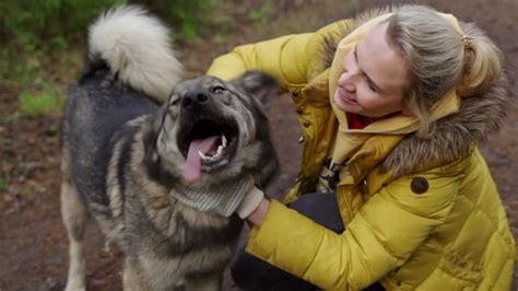 СНЯЛИ КИНО • Осенью 2021 ого года нам пришла идея снять документальные фильмы про